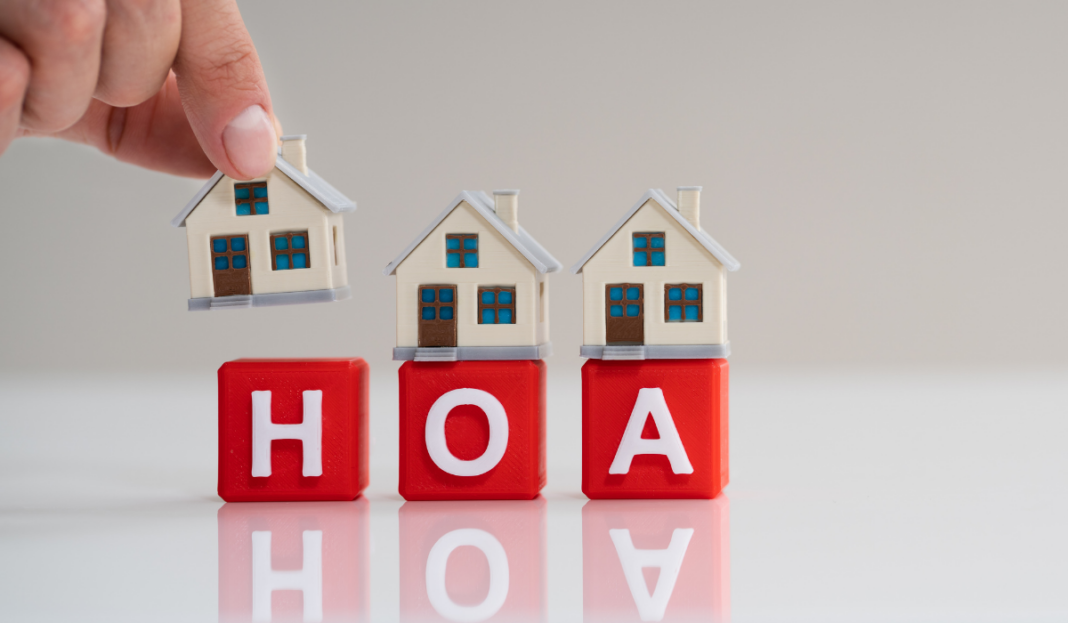HOA VS POA: What Are The Differences - Bolsa de Mulher