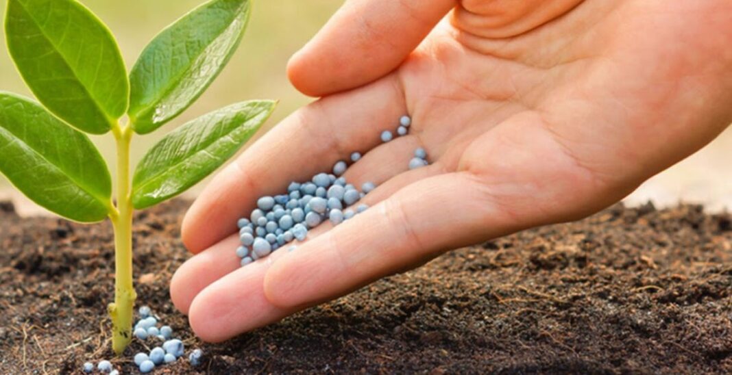 Understanding the Role of Substrates in Plant Farming: 5 Things to Know ...